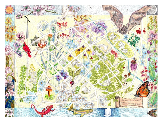 Brevard Nc Map
