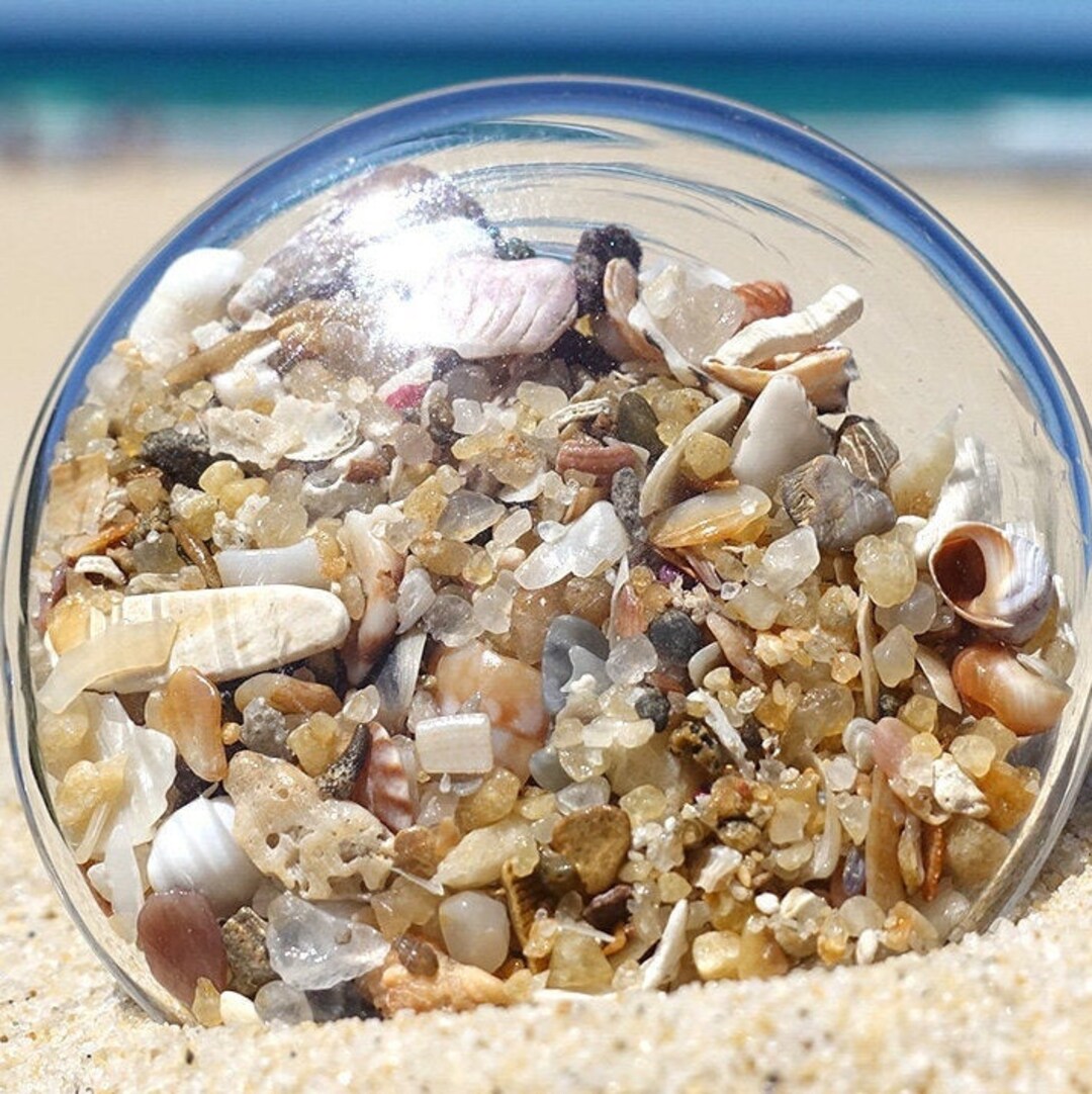 Seashell Terrarium Ring, Coastal Ring, Beach Jewelry, 925 Silver - Etsy