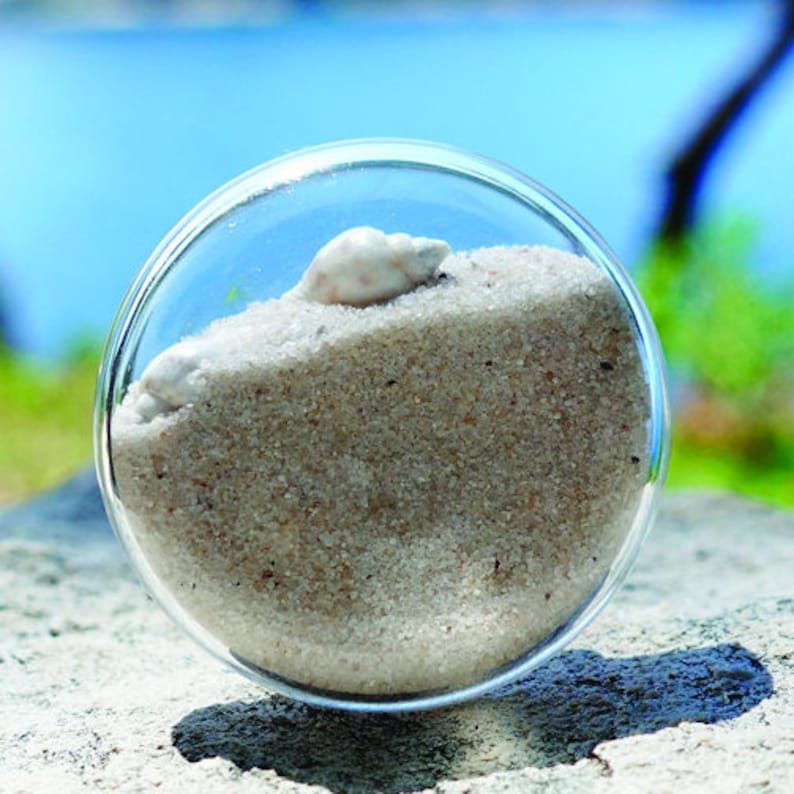 Sand Ring, Ocean Beach Ring, Terrarium Jewelry, Moving Jewellery ...