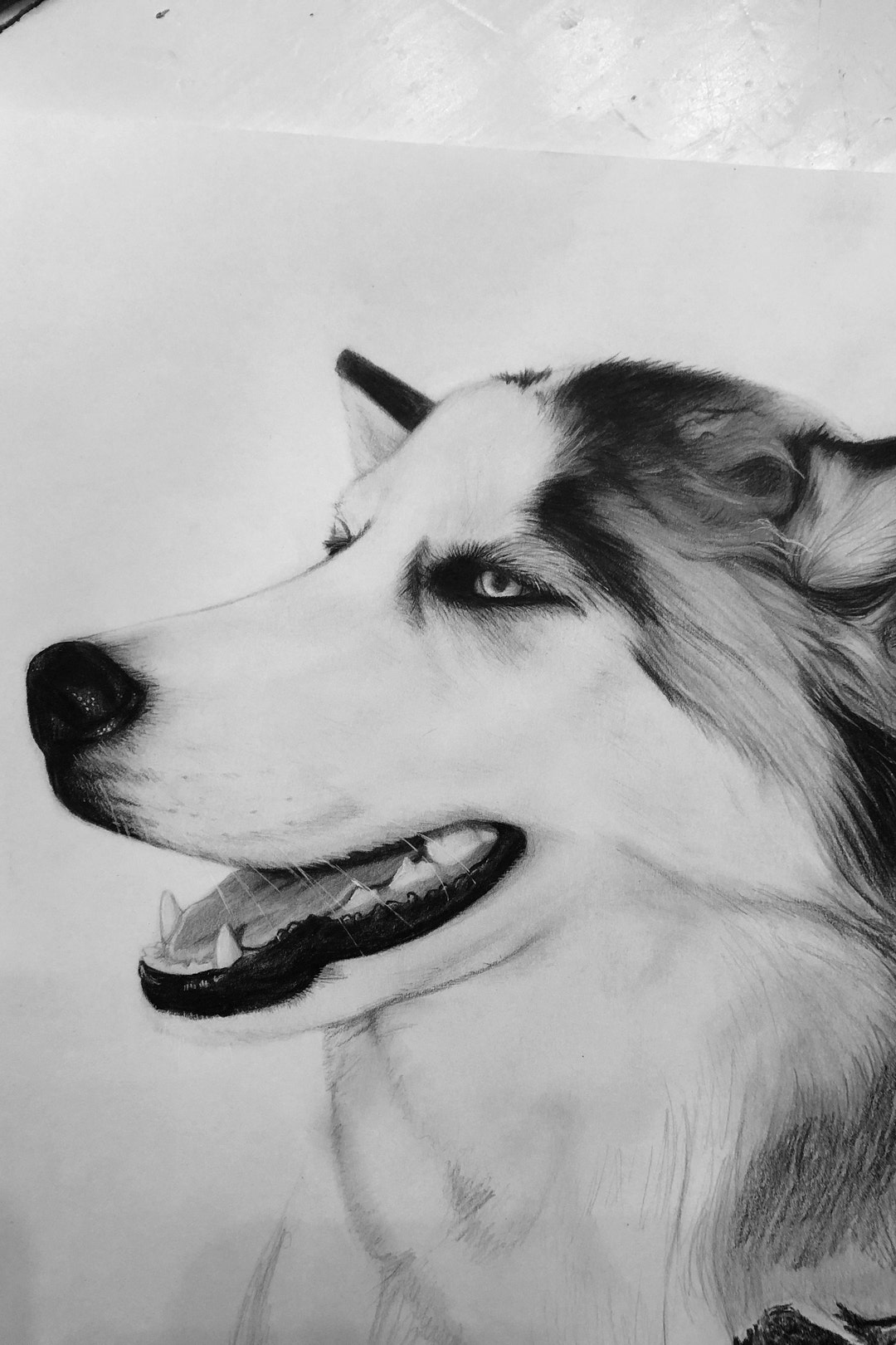 Custom Pet Pencil Drawing From Photo - Etsy