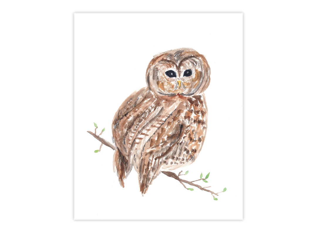 Owl, Bunny, Fawn, Fox From William's Woodland Friends Baby Animals ...