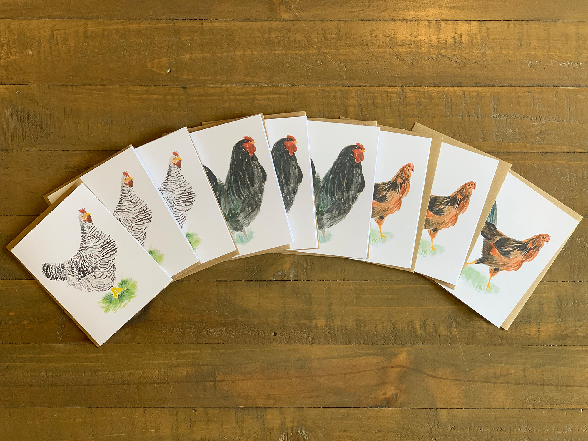 Chicken Note Cards Original Watercolor Print Variety Set of 9 Barred ...