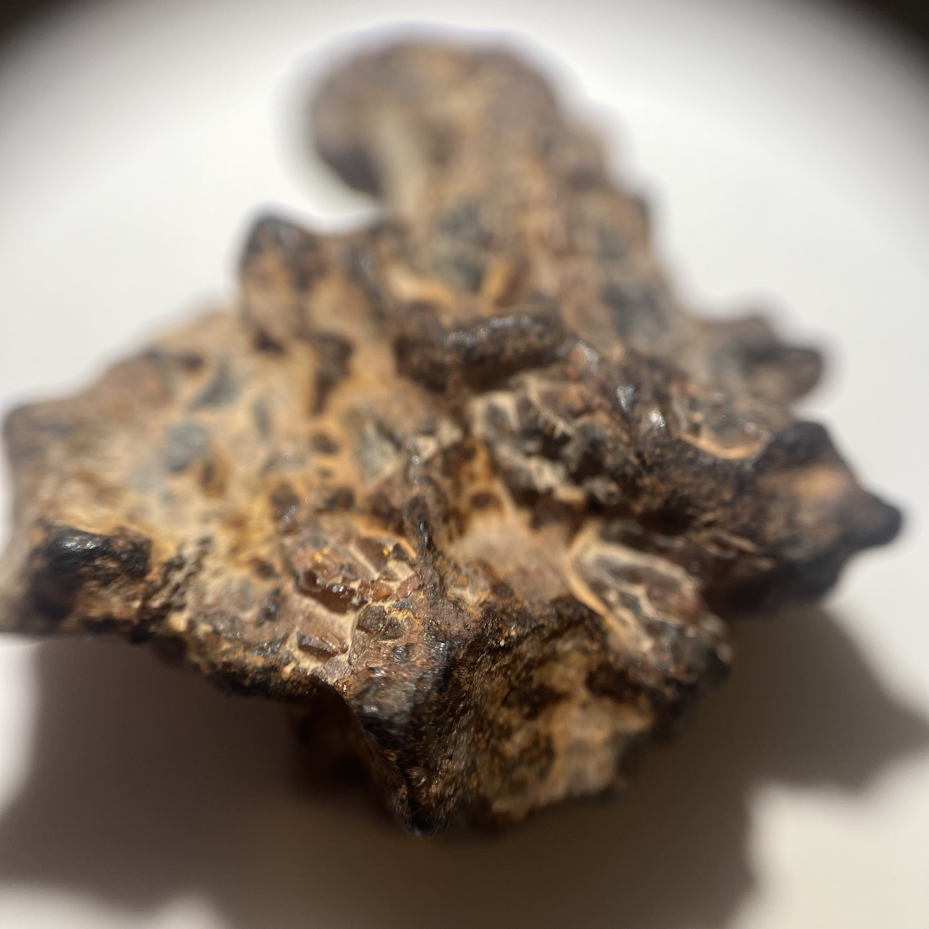 Imilac Meteorite Complete Regmaglypted Individual With Olivine Crystals ...