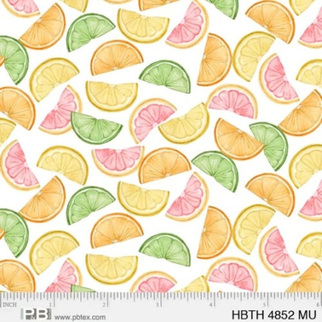 Fresh Fruit Wedges From Happier by the Hour Collection by Robin ...