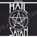 Hail Satan Pentacle Sweatshirt Satanic Shirt Baphomet Pagan - Etsy