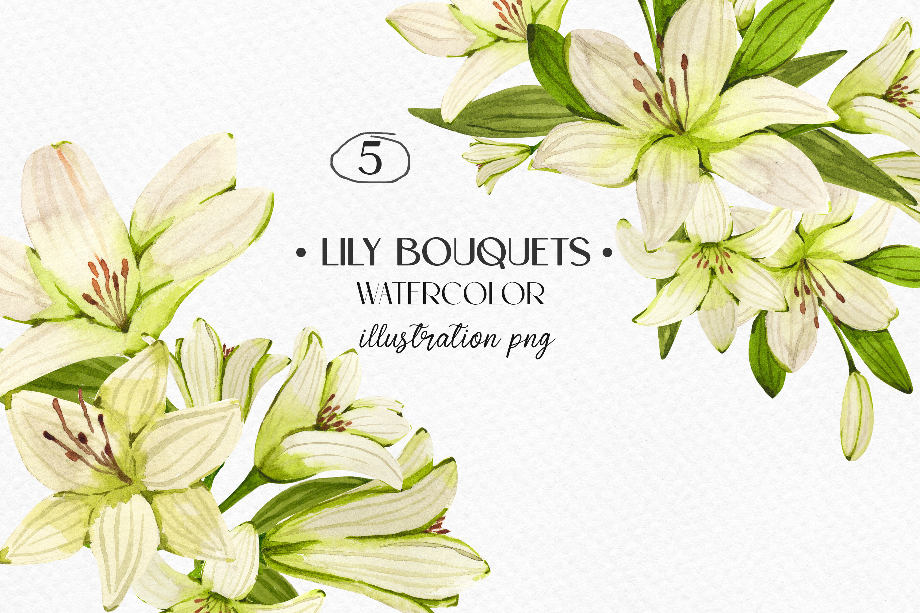 Watercolor White Lily Flowers White Line Bouquets Spring - Etsy