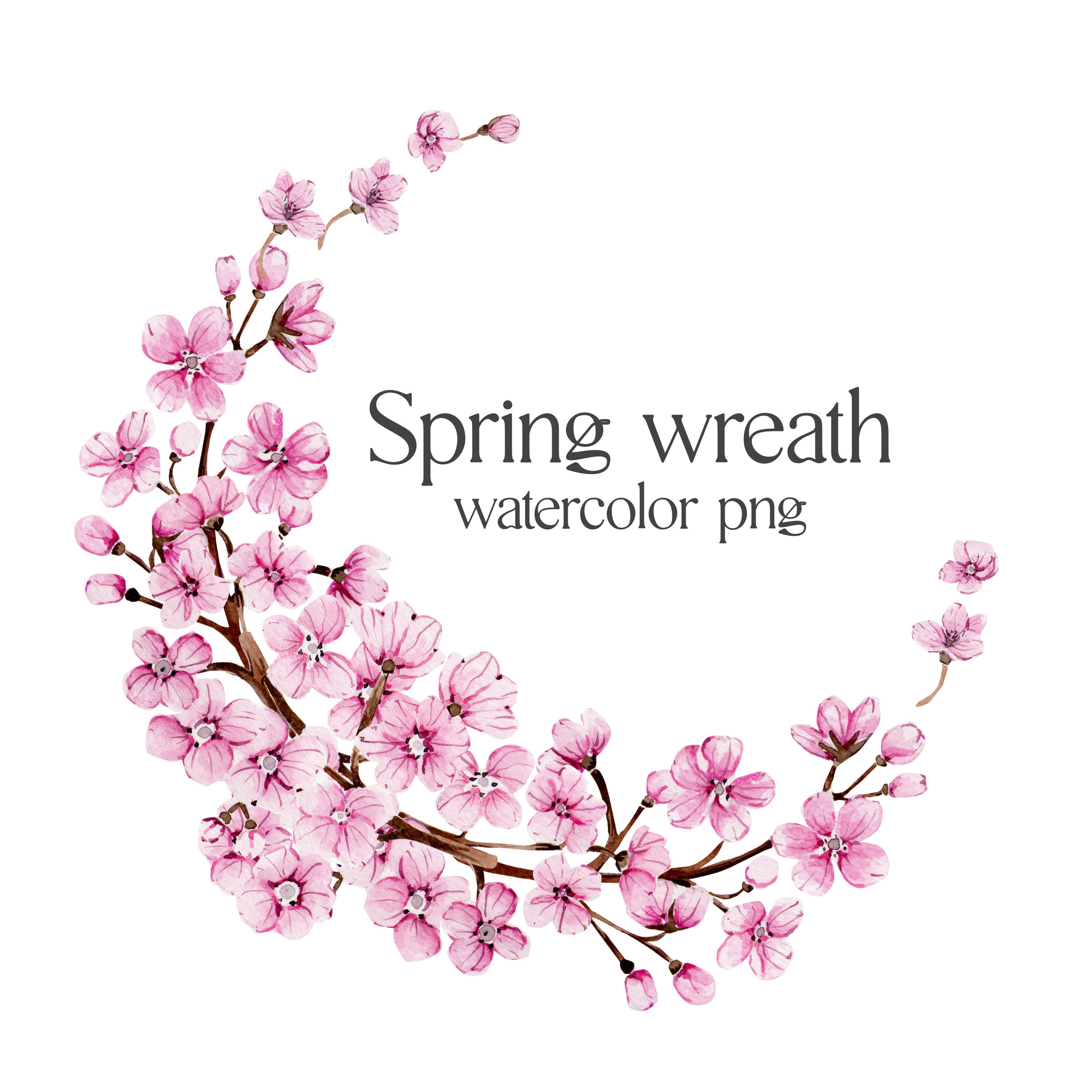 Clipart. Cherry Blossom Watercolor Wreath. Digital PNG Clipart - Etsy UK