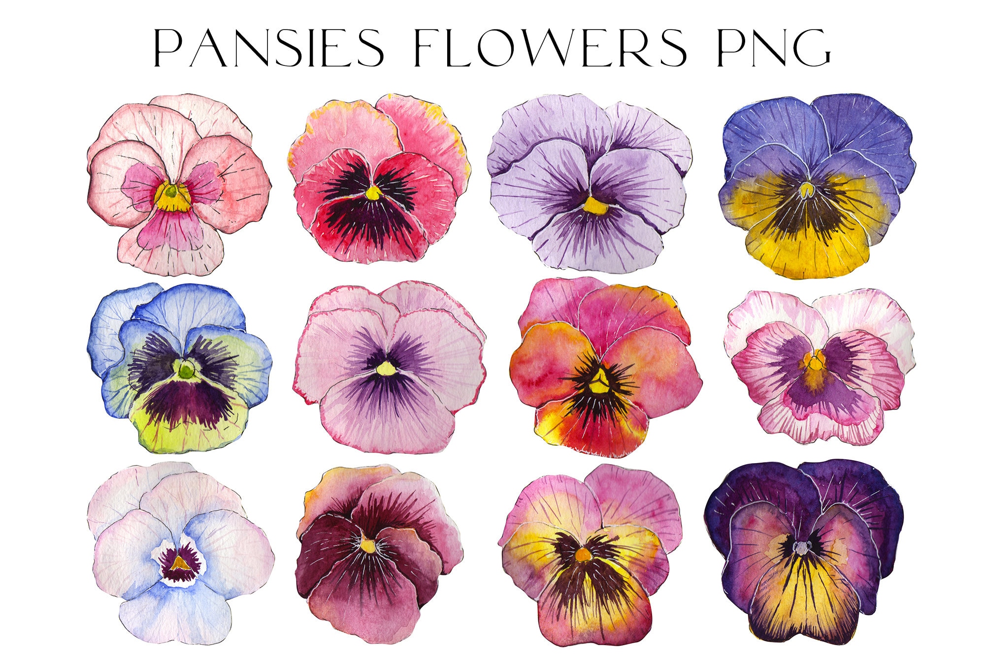 Pansies Watercolor Flowers Set of Multicolored Buds Digital - Etsy