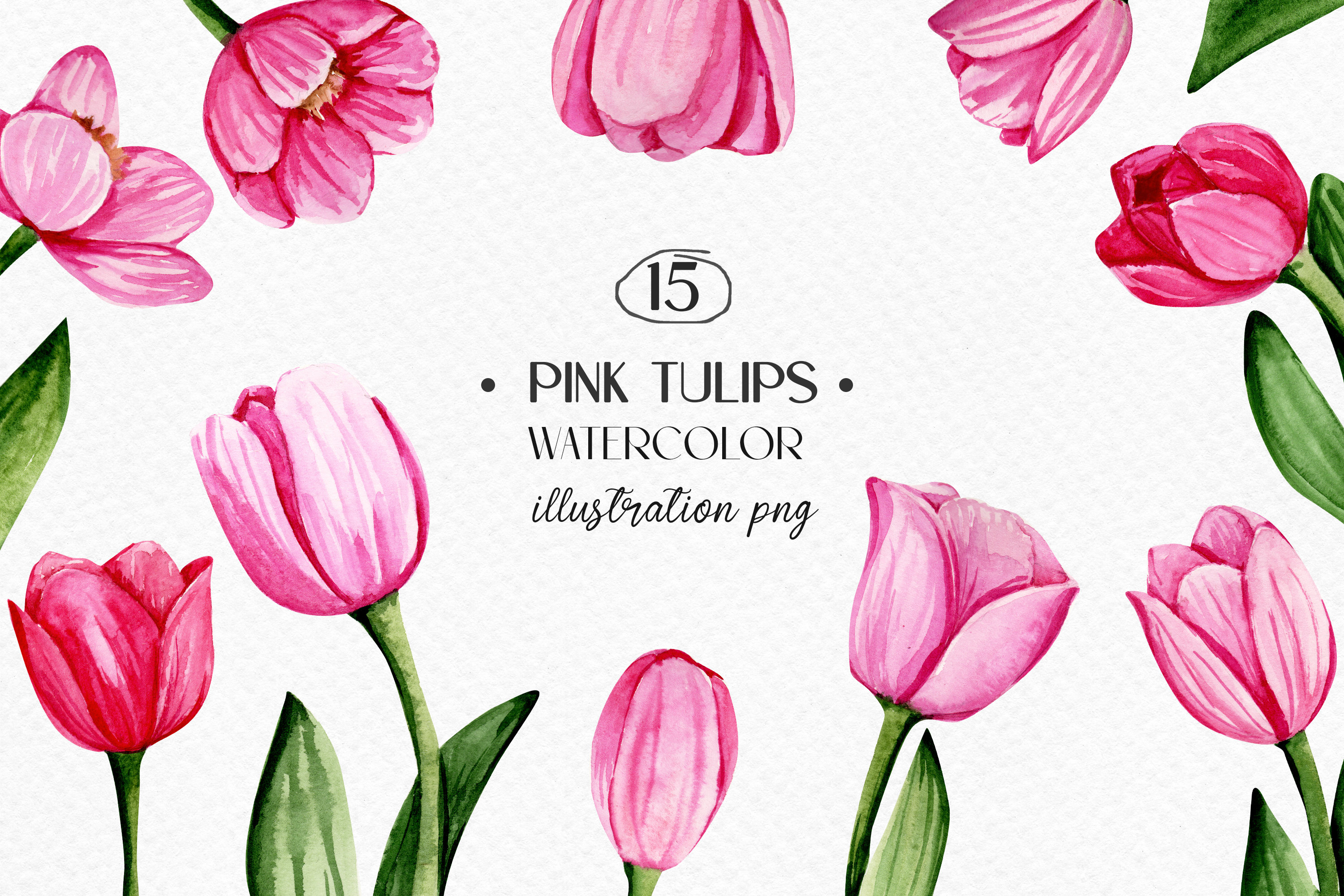 Watercolor Pink Spring Tulips, Spring Flowers, Tulip Buds and Stems ...