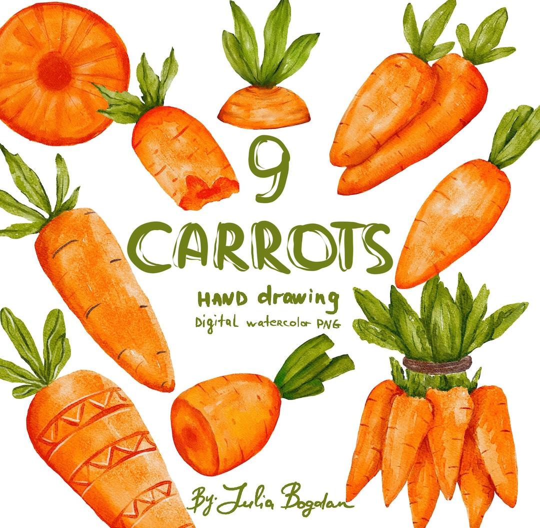 Watercolor Carrot Clipart Png, Spring Illustrations Watercolor Digital ...