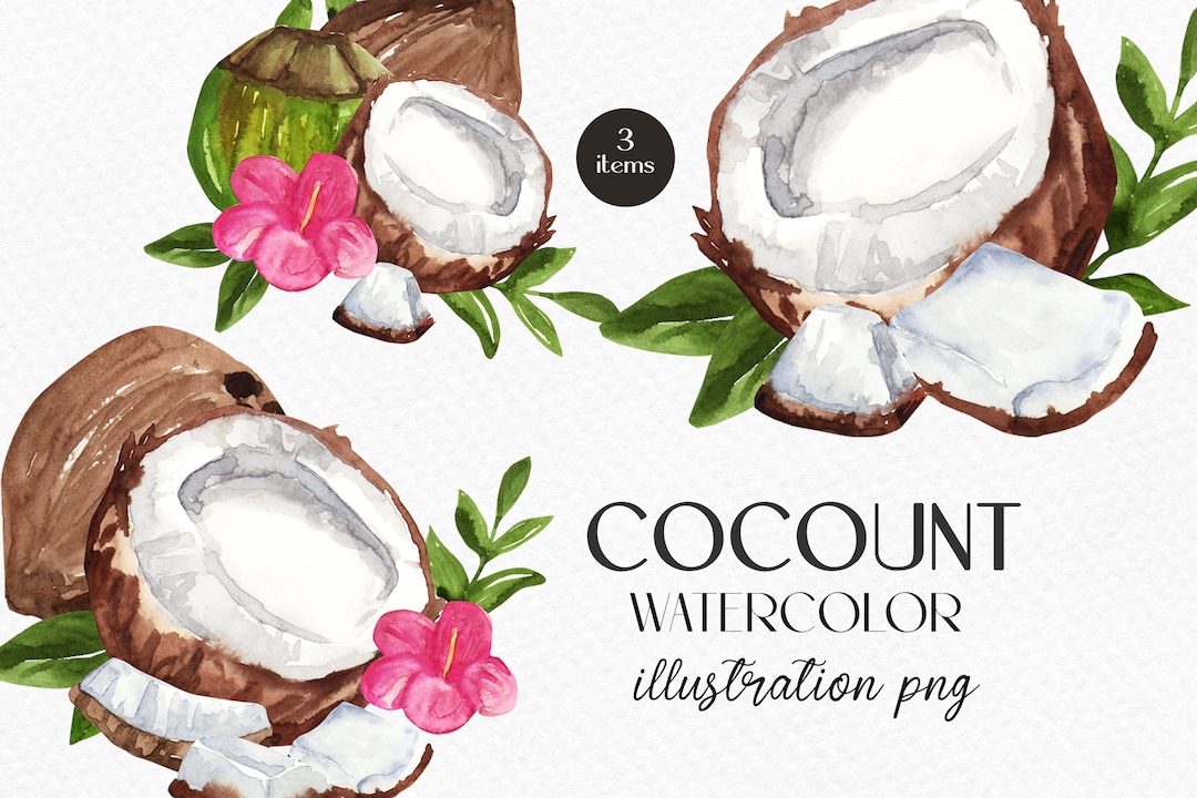 Watercolor Coconut, Tropical Coconut Composition With Greenery and ...
