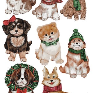 Watercolor Winter Dogs Clipart PNG, Hand Drawn Puppies in Cozy Clothes ...