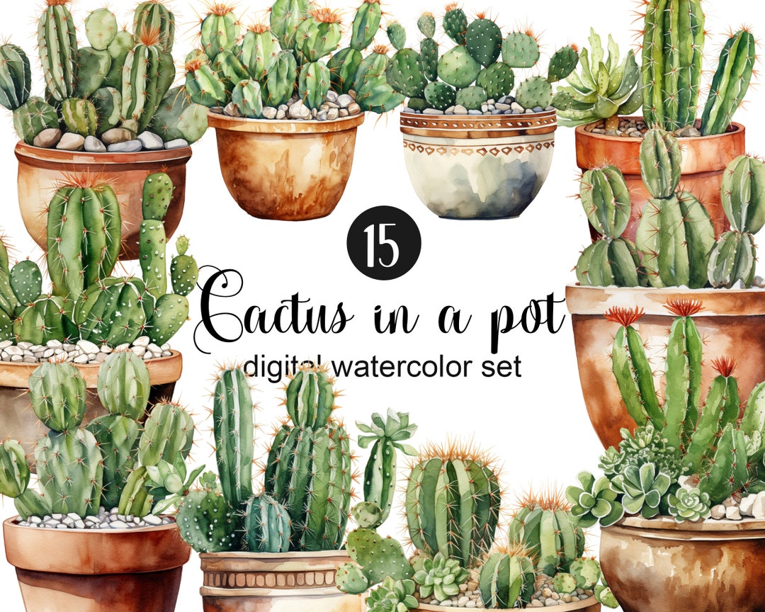 Green Cactus in a Pot Clipart Png, Cute Cactus, Home Cactus, Prickly ...