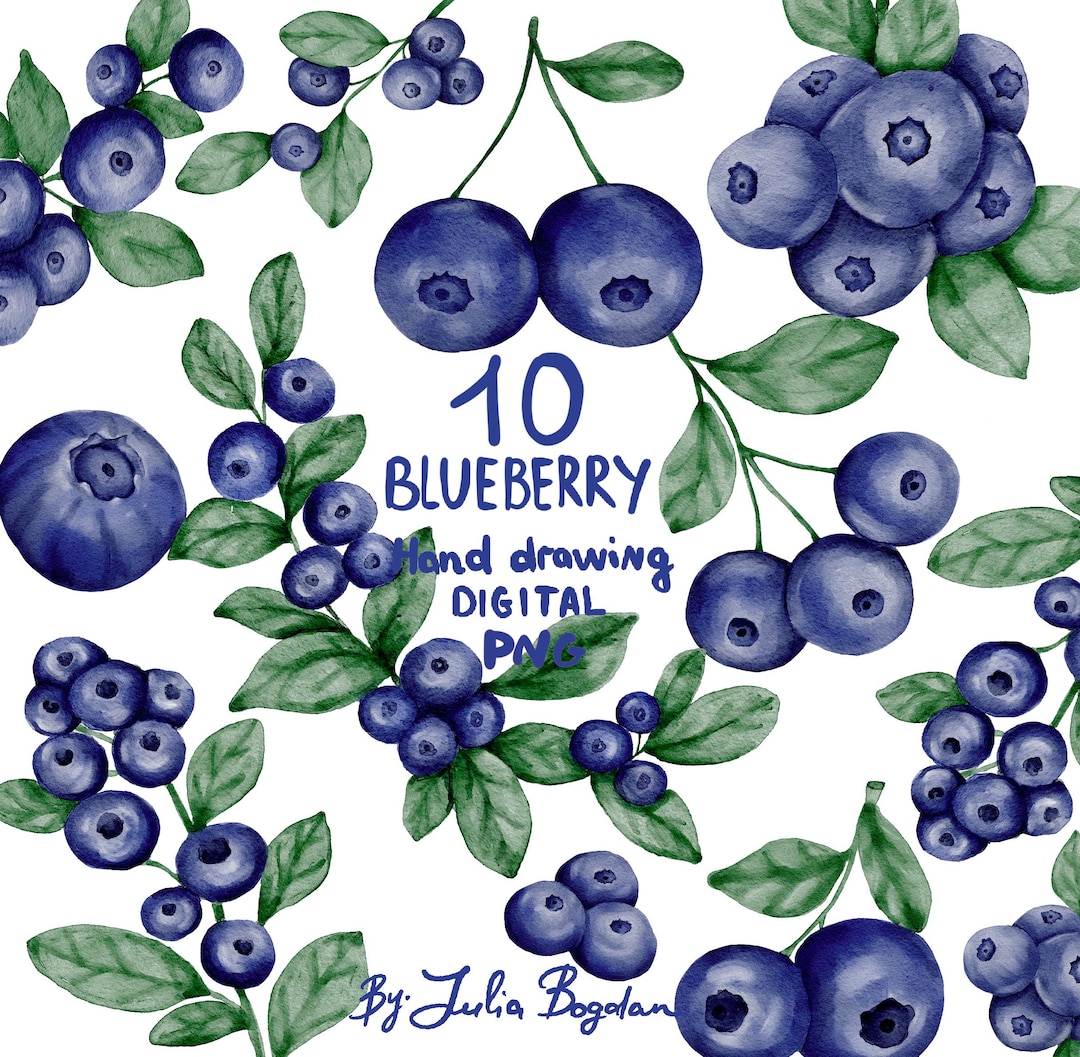 Blueberry Watercolor Clipart Png Hand Drawing, Berries Watercolor ...