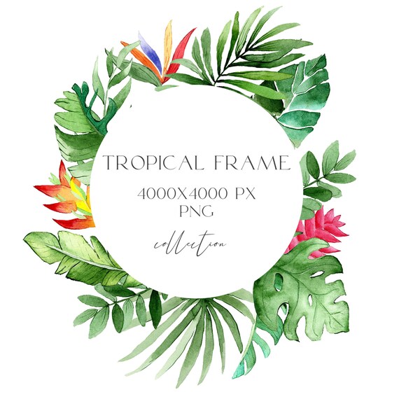 Clipart Watercolor Frame With Tropical Greenery and Png | Etsy
