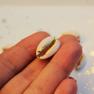 Gold Gilded Cowrie Shell Charm 16mm Drilled One or Two Hole - Etsy