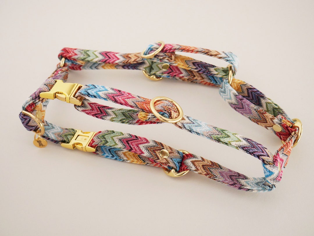Dog Harness Joyous Colorful, Harness Dog - Etsy