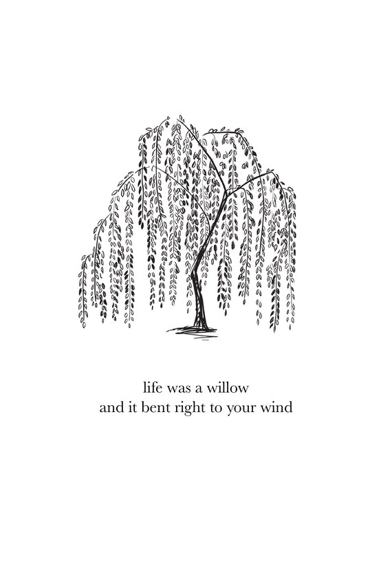 Lyric Drawings Taylor Swift