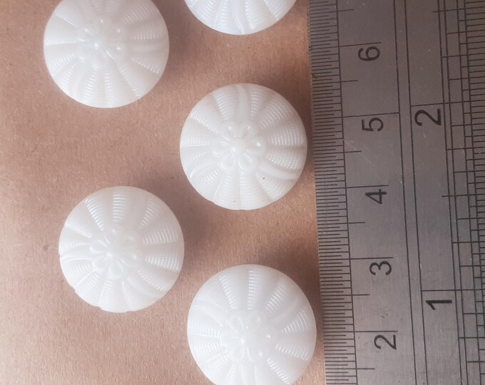 Art Deco Czech Glass Buttons: Antique White Flower Burst, 1930s (7pc, 1 ...