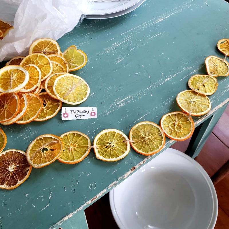 Dried Citrus Fruit Slice - Etsy UK