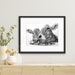 Besties - Cows - Black and White Print - Etsy