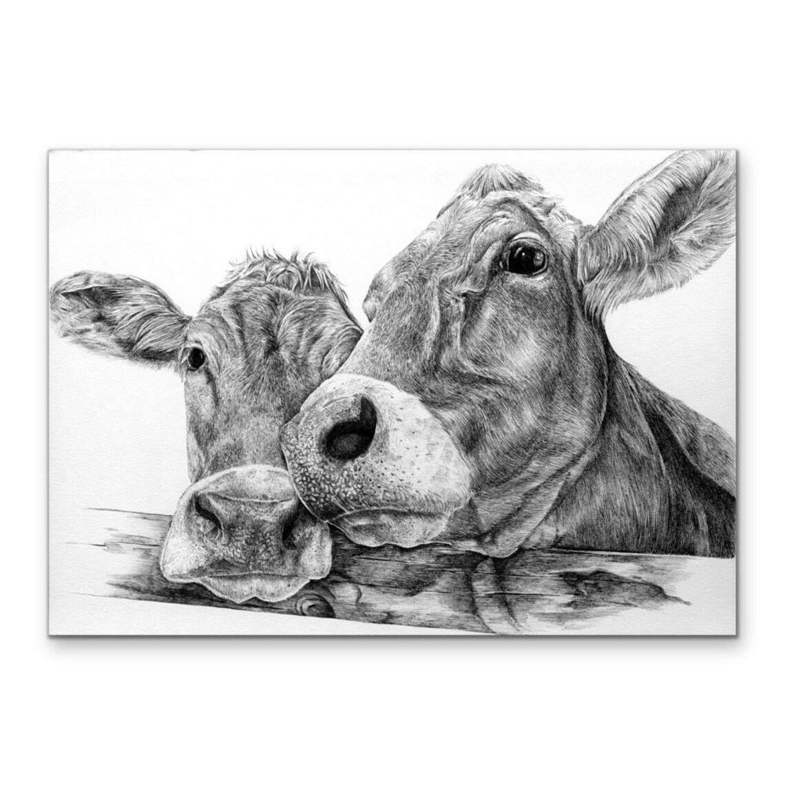 Besties - Cows - Black and White Print - Etsy