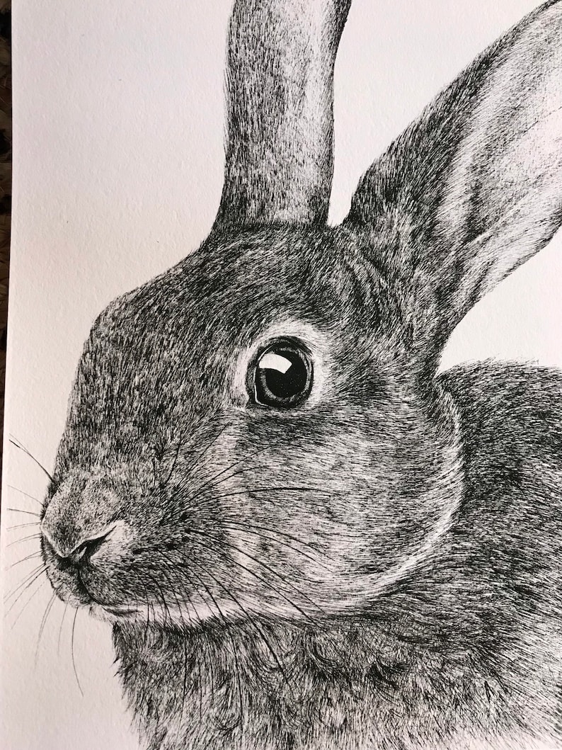 Bunny Rabbit Print - Black and White Art - Etsy