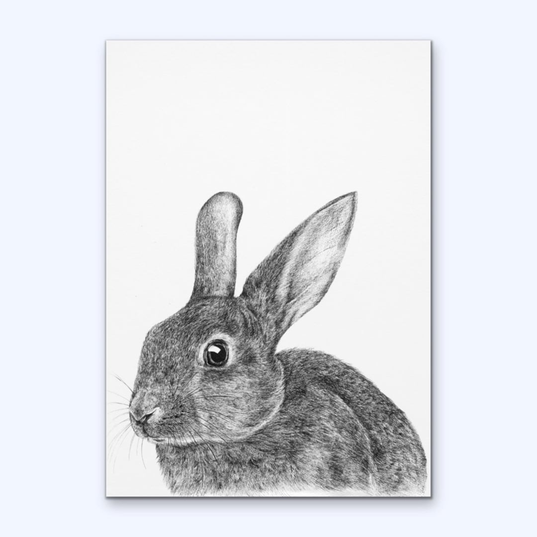 Bunny Rabbit Print - Black and White Art - Etsy