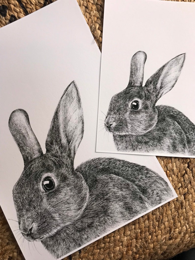 Bunny Rabbit Print - Black and White Art - Etsy