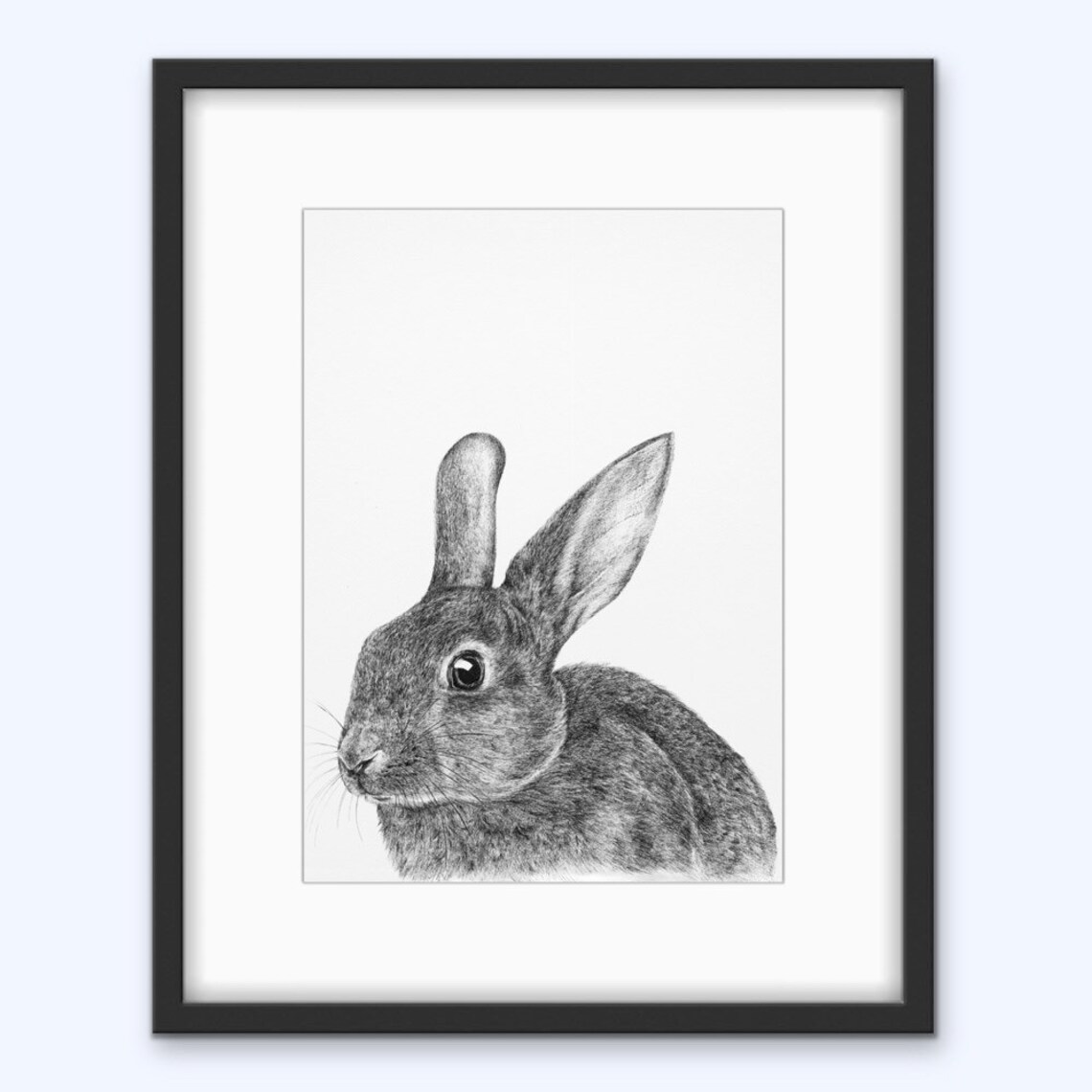 Bunny Rabbit Print - Black and White Art - Etsy