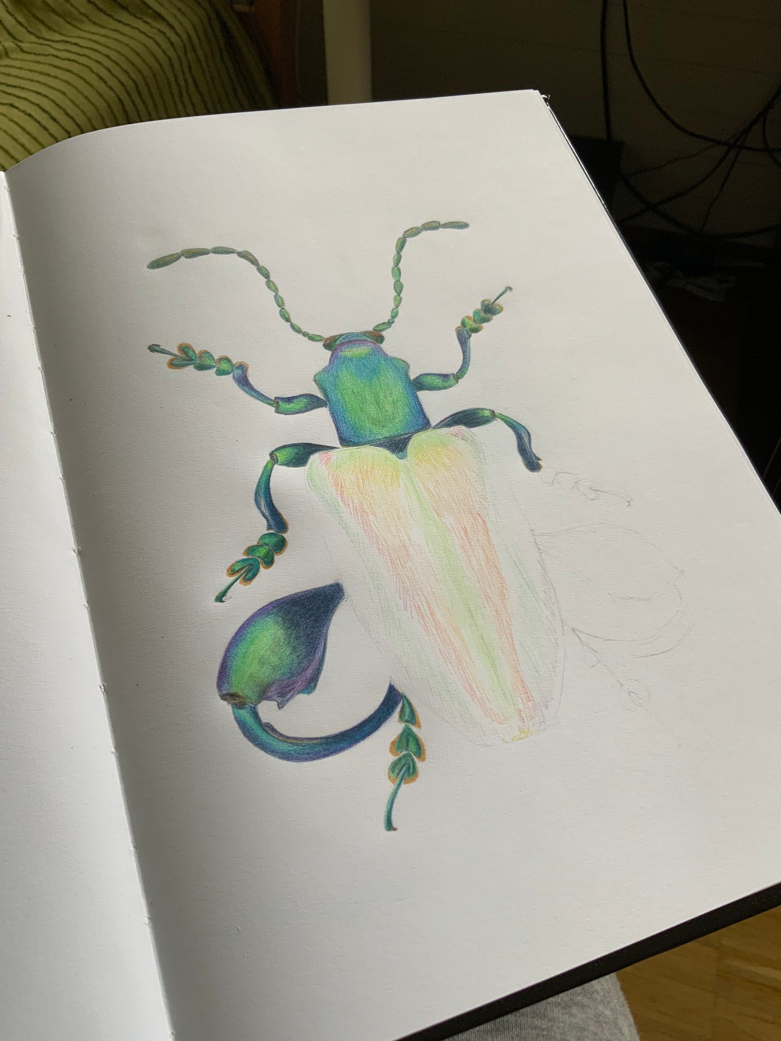 Colorful Bug Drawing (original Art), Drawing Original - Etsy