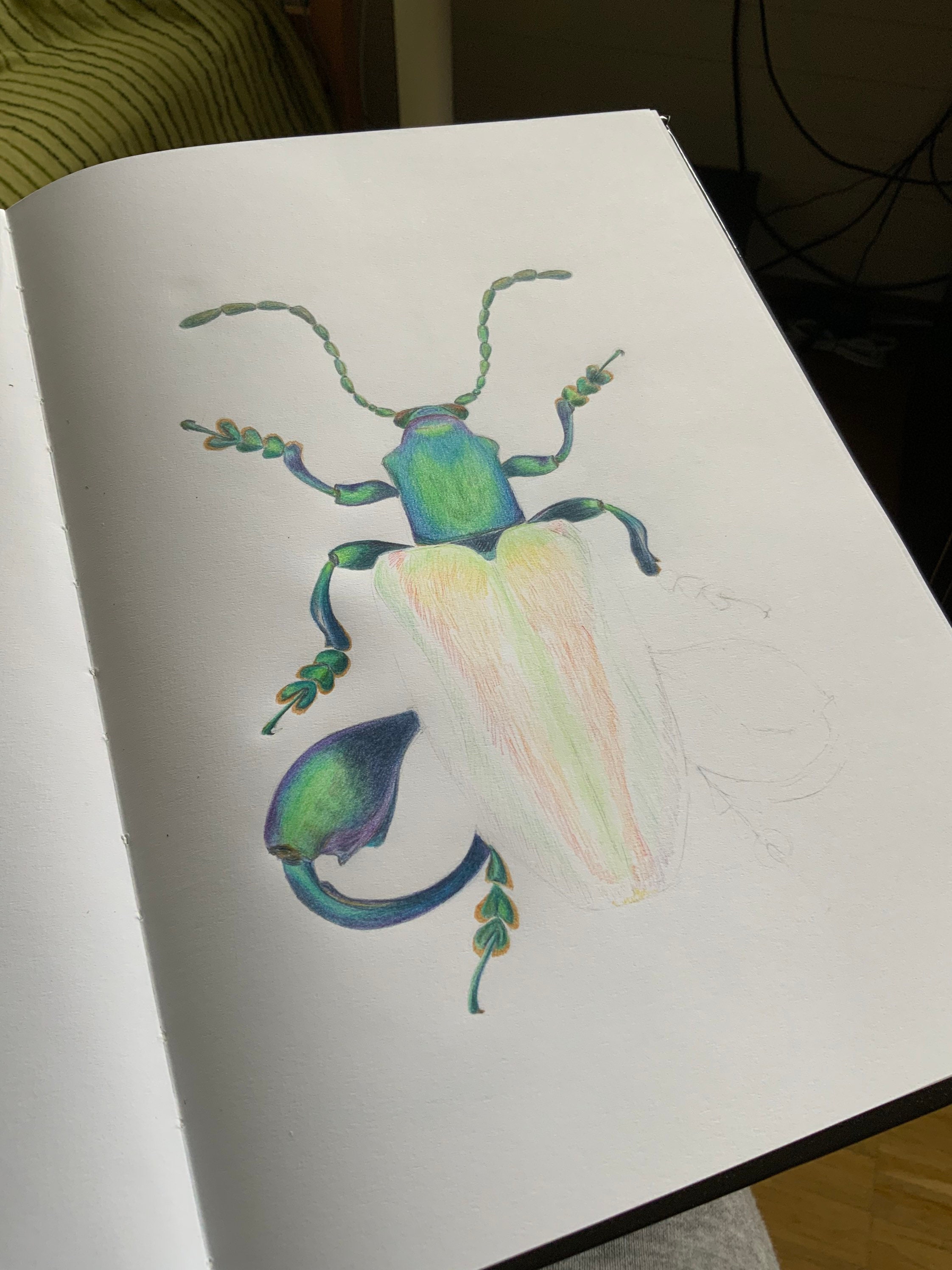 Colorful Bug Drawing (original Art), Drawing Original - Etsy
