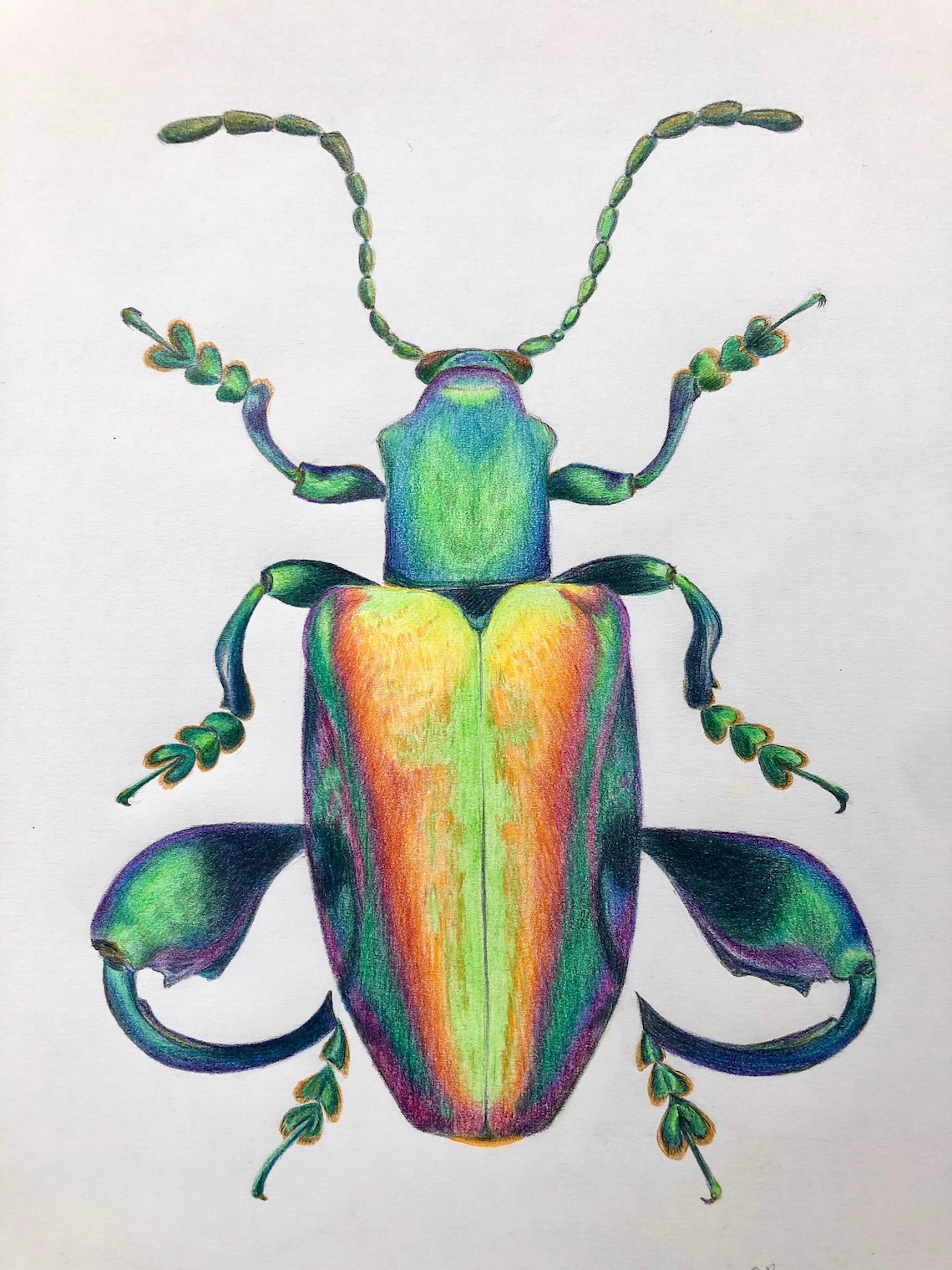 Colorful Bug Drawing (original Art), Drawing Original - Etsy