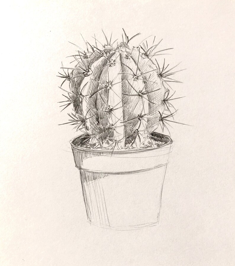 Dibujo de cactus, lápiz, dibujo original - Etsy México