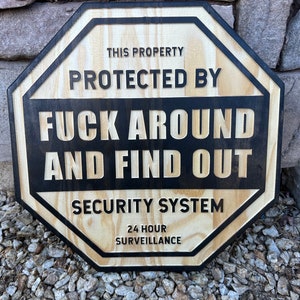 F Around and Find Out - Etsy