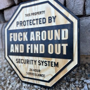 F Around and Find Out - Etsy