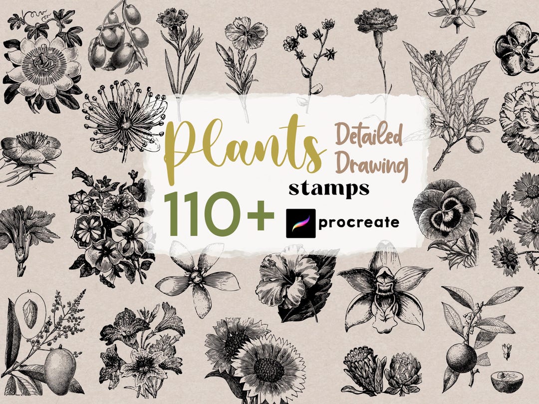Procreate Plant Stamps Procreate Tattoo Flower Vintage Detailed Bouquet ...
