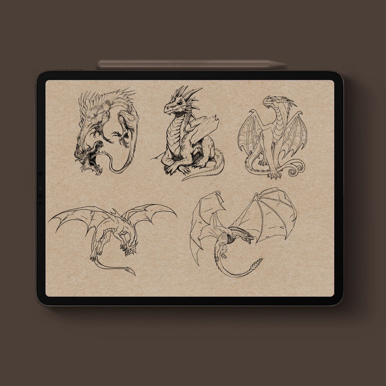 Procreate Dragon Stamps Tattoo Brush Ejder Snake Magic - Etsy Canada