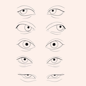 Procreate Eyes Stamp Portrait Eye Guides 50 Procreate Portrait Brushes ...