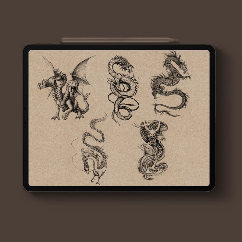 Procreate Dragon Stamps Tattoo Brush Ejder Snake Magic | Etsy
