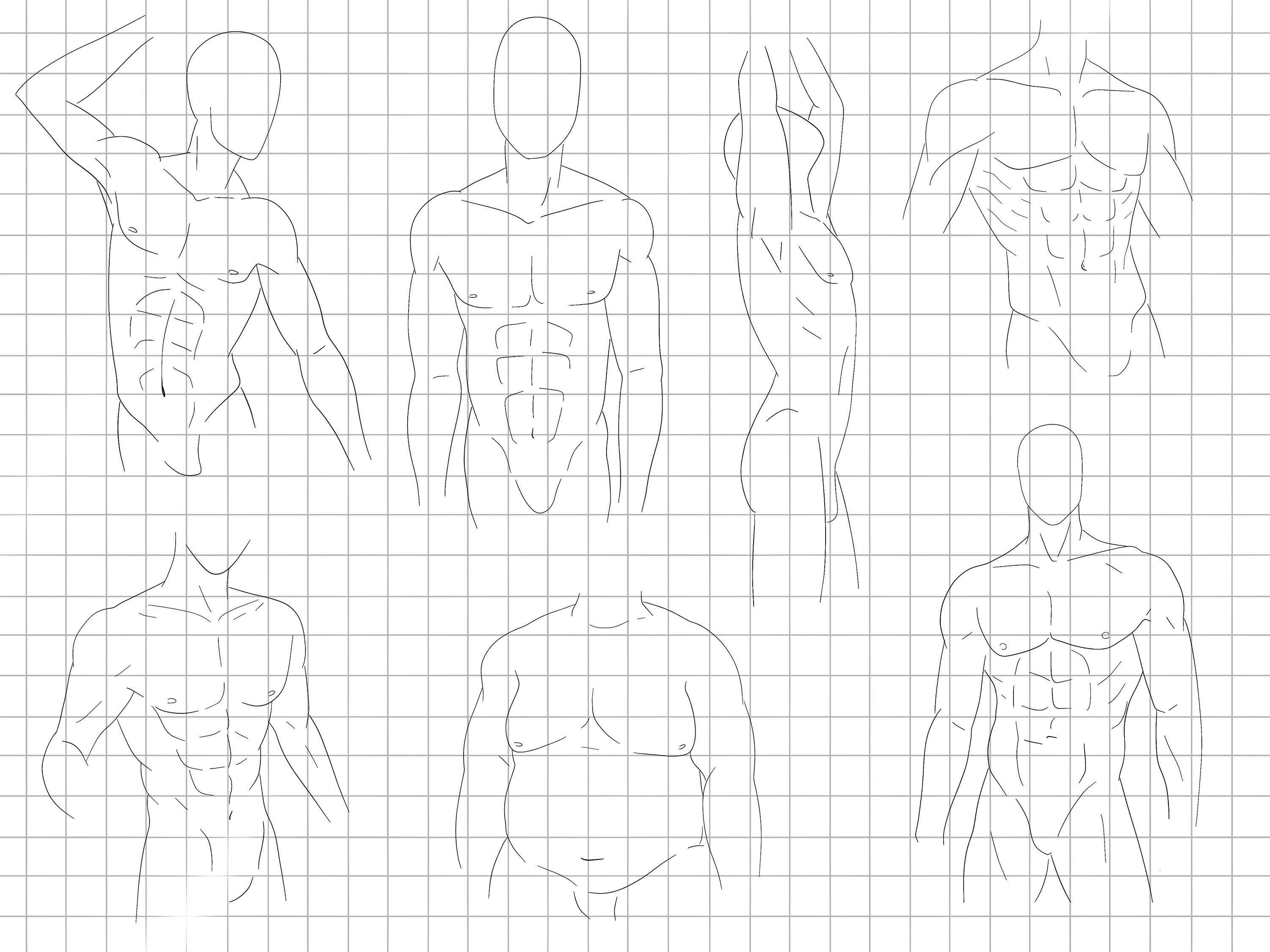 Procreate Man Stamps : Male Poses Manga Boy Torso Anatomy Anime Body ...