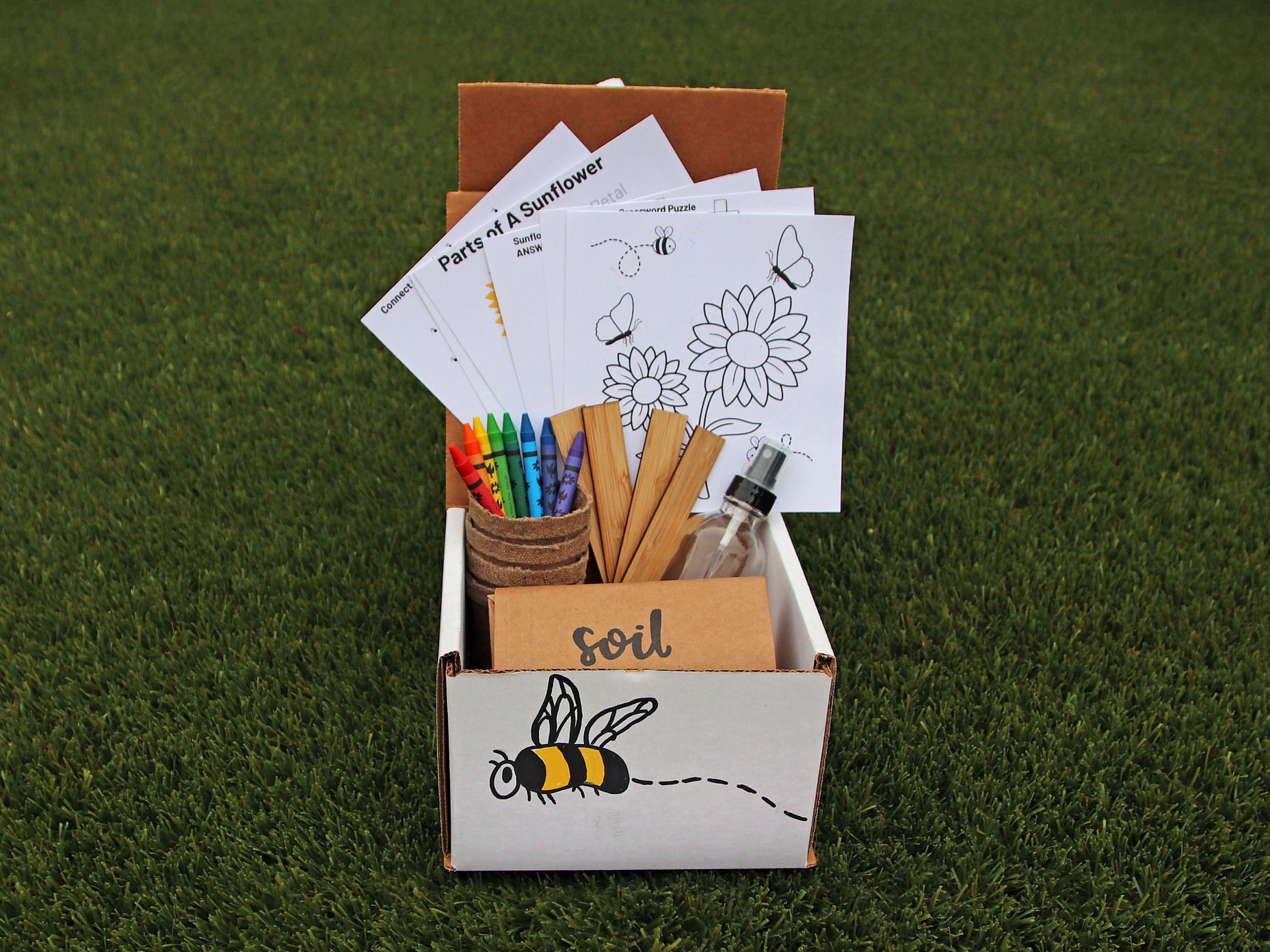 KIDS EDITION: Sunflower Grow Kit With Activity Pack - Etsy