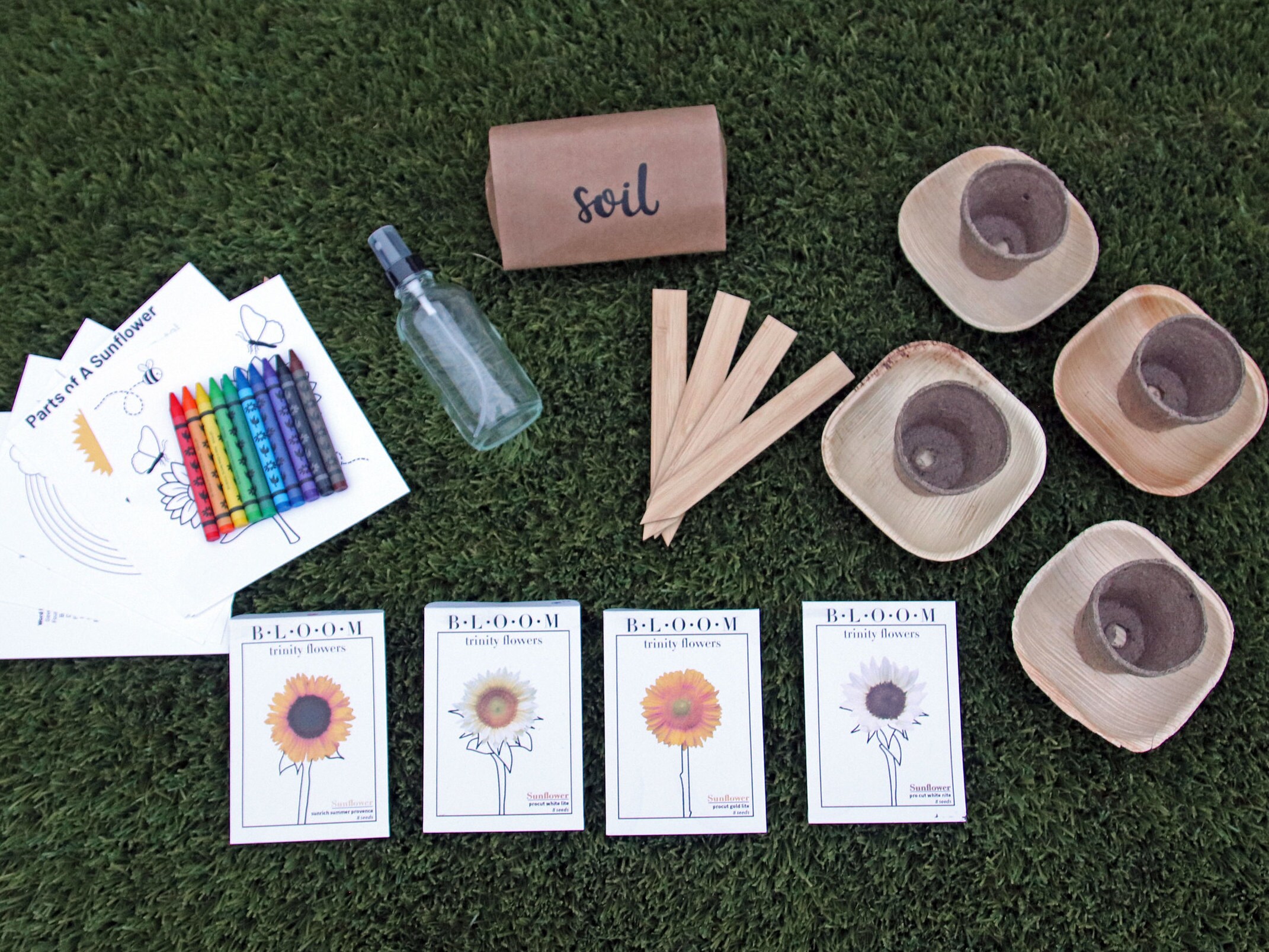 KIDS EDITION: Sunflower Grow Kit With Activity Pack - Etsy
