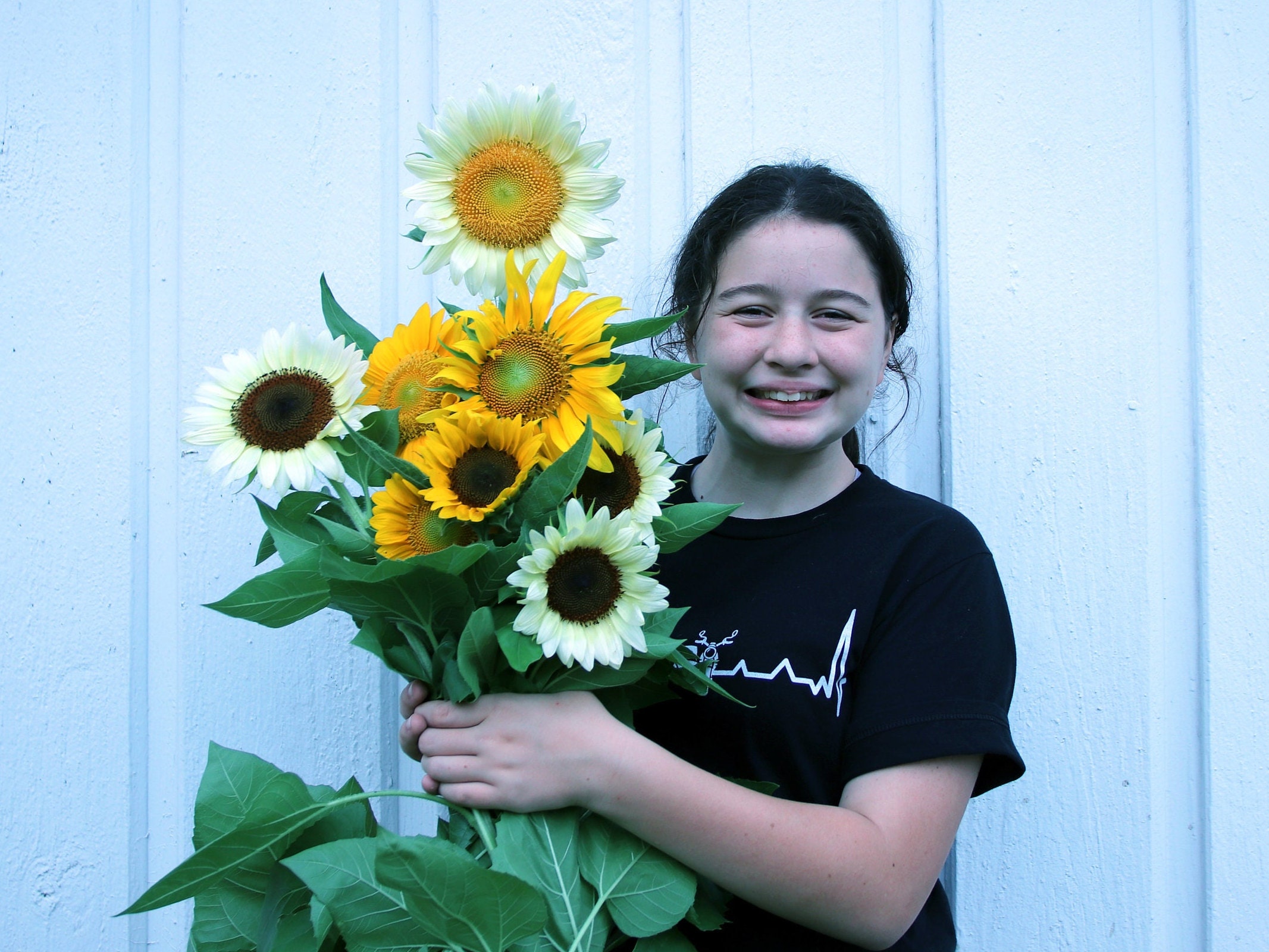 KIDS EDITION: Sunflower Grow Kit With Activity Pack - Etsy