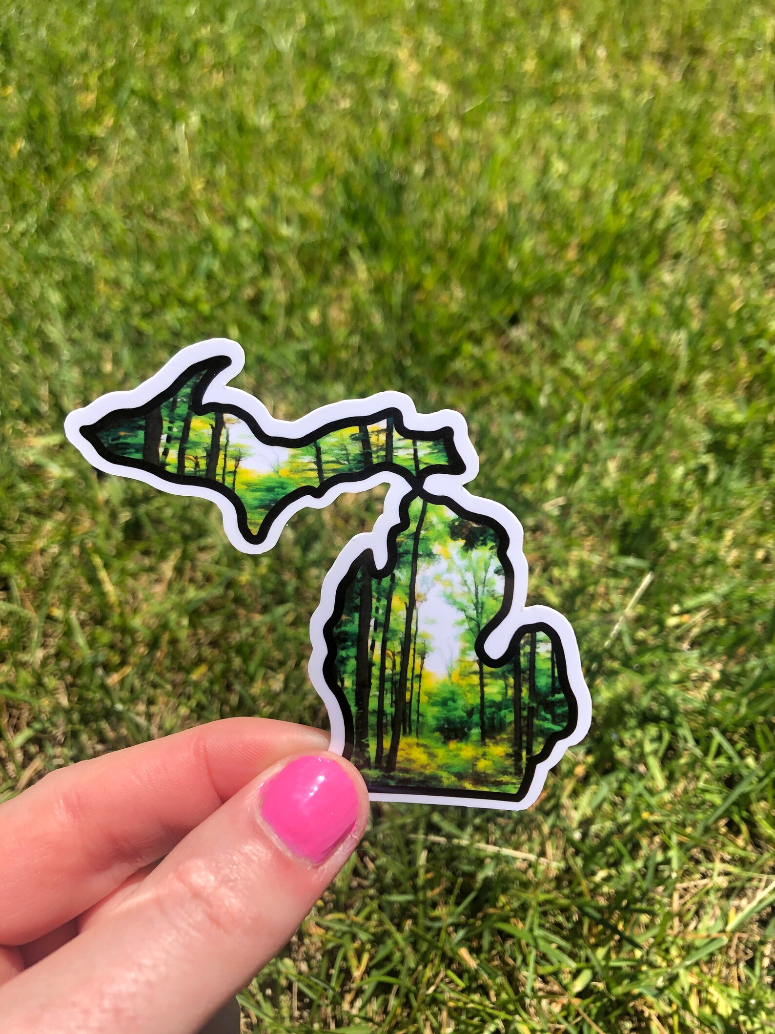 Michigan sticker pack State of Michigan Stickers Michigan - Etsy Italia