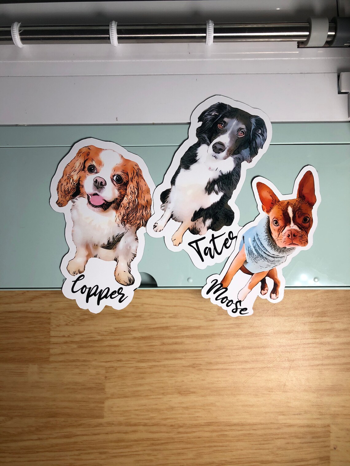 Custom Pet Magnets Custom Dog Magnets Custom Cat Magnets - Etsy