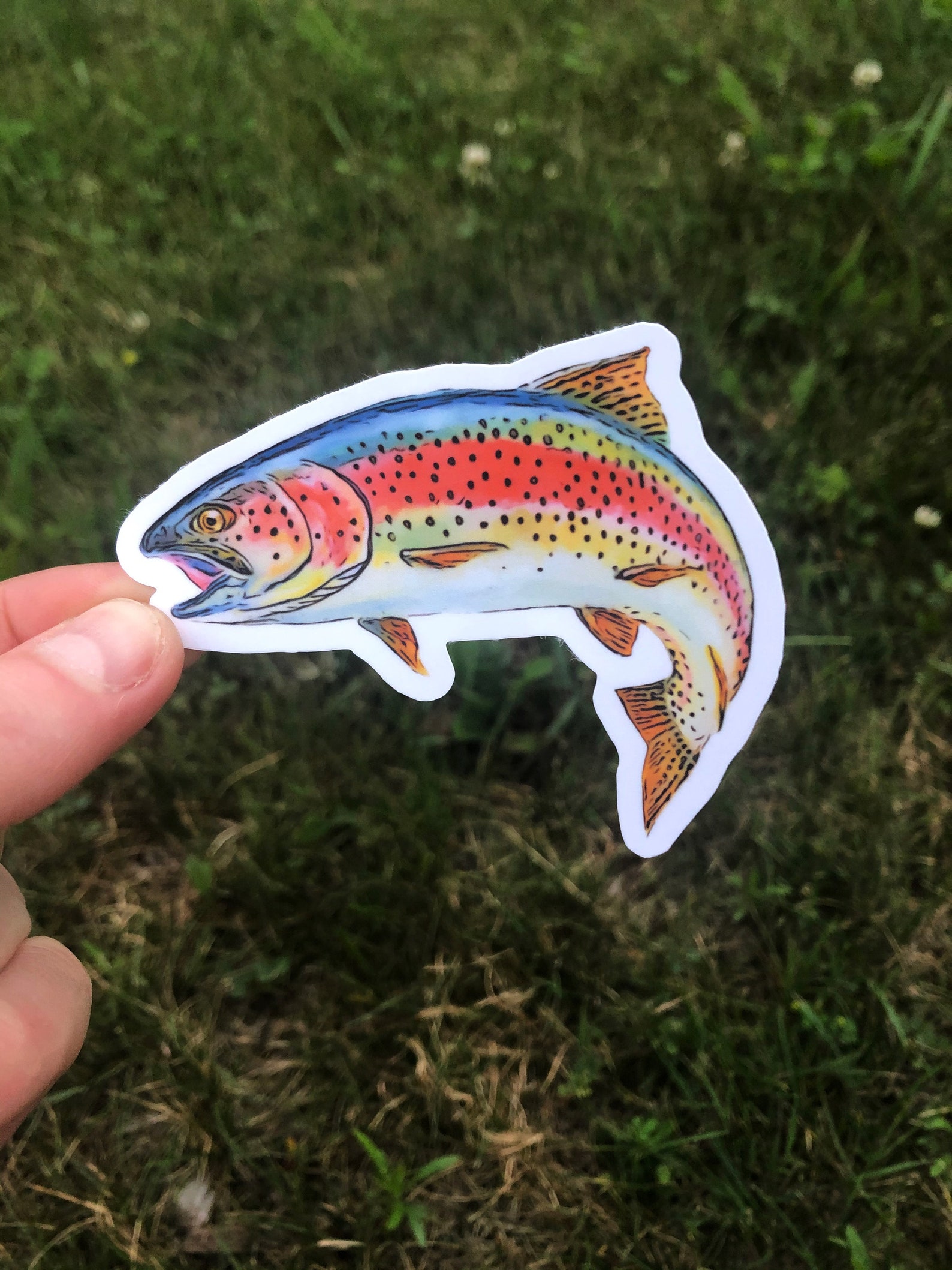 Rainbow Trout Sticker Trout Sticker Fish Sticker Fishing - Etsy