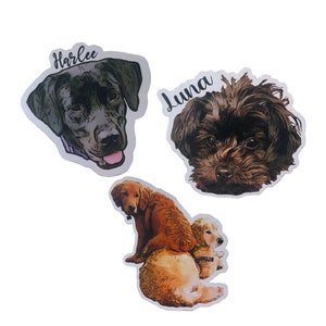 Custom Pet Magnets, Custom Dog Magnets, Custom Cat Magnets, Magnets ...