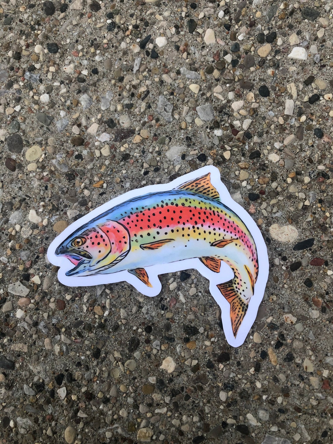 Rainbow Trout Sticker Trout Sticker Fish Sticker Fishing | Etsy
