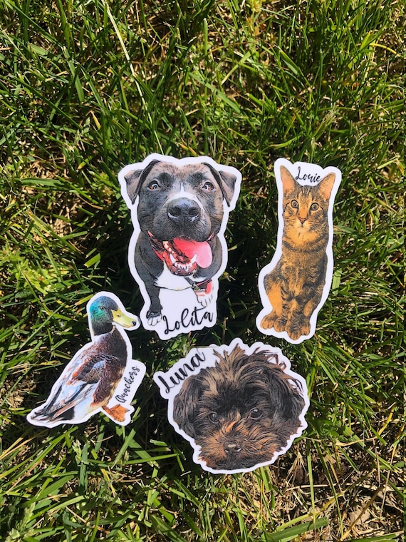 Custom Pet Sticker Custom Dog Sticker Custom Cat Sticker | Etsy